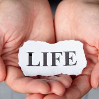 Free AI Sympathy & Condolences Message Generator | Condolence Messages